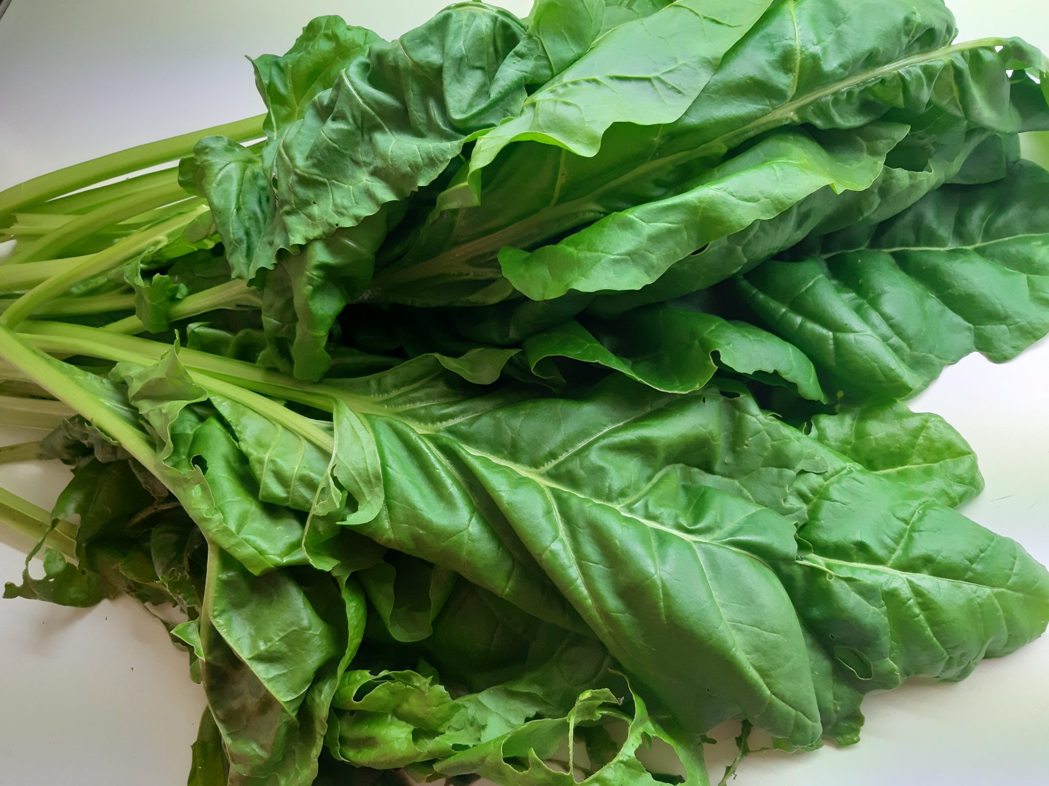 Mangoldspinat der Feine und Besondere, vegan, einfach, schnell ...